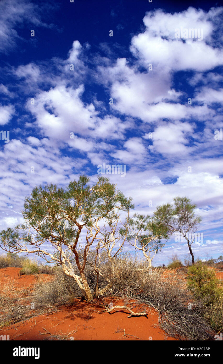 The 'Outback', Northern Territory, Australia Stock Photo - Alamy