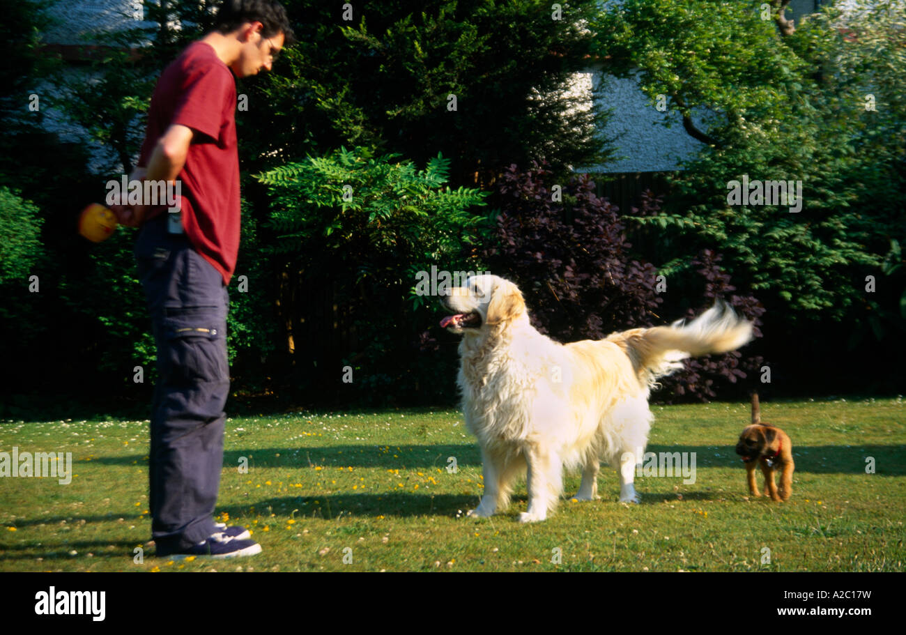 Man playing with dog fetch catch hi-res stock photography and images ...