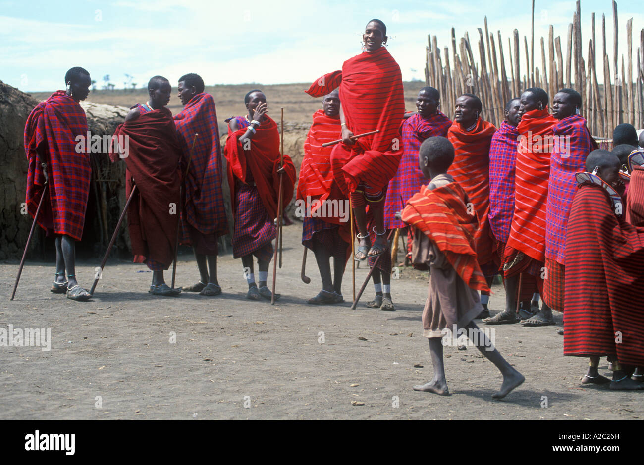 Masai men doing traditional jumping at their village at Ngorongoro ...