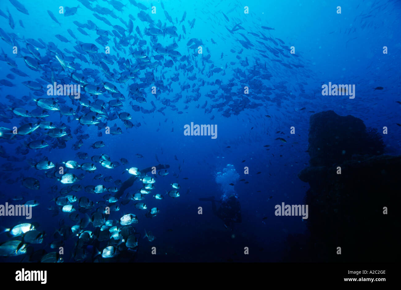 Donator hi-res stock photography and images - Alamy