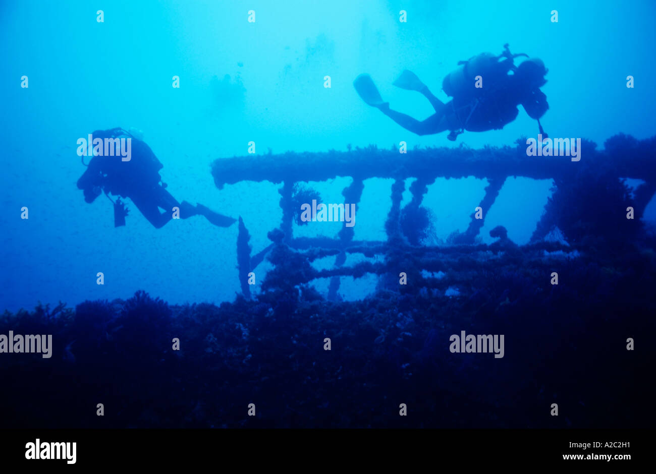 Scuba divers exploring a shipwreck Stock Photo - Alamy