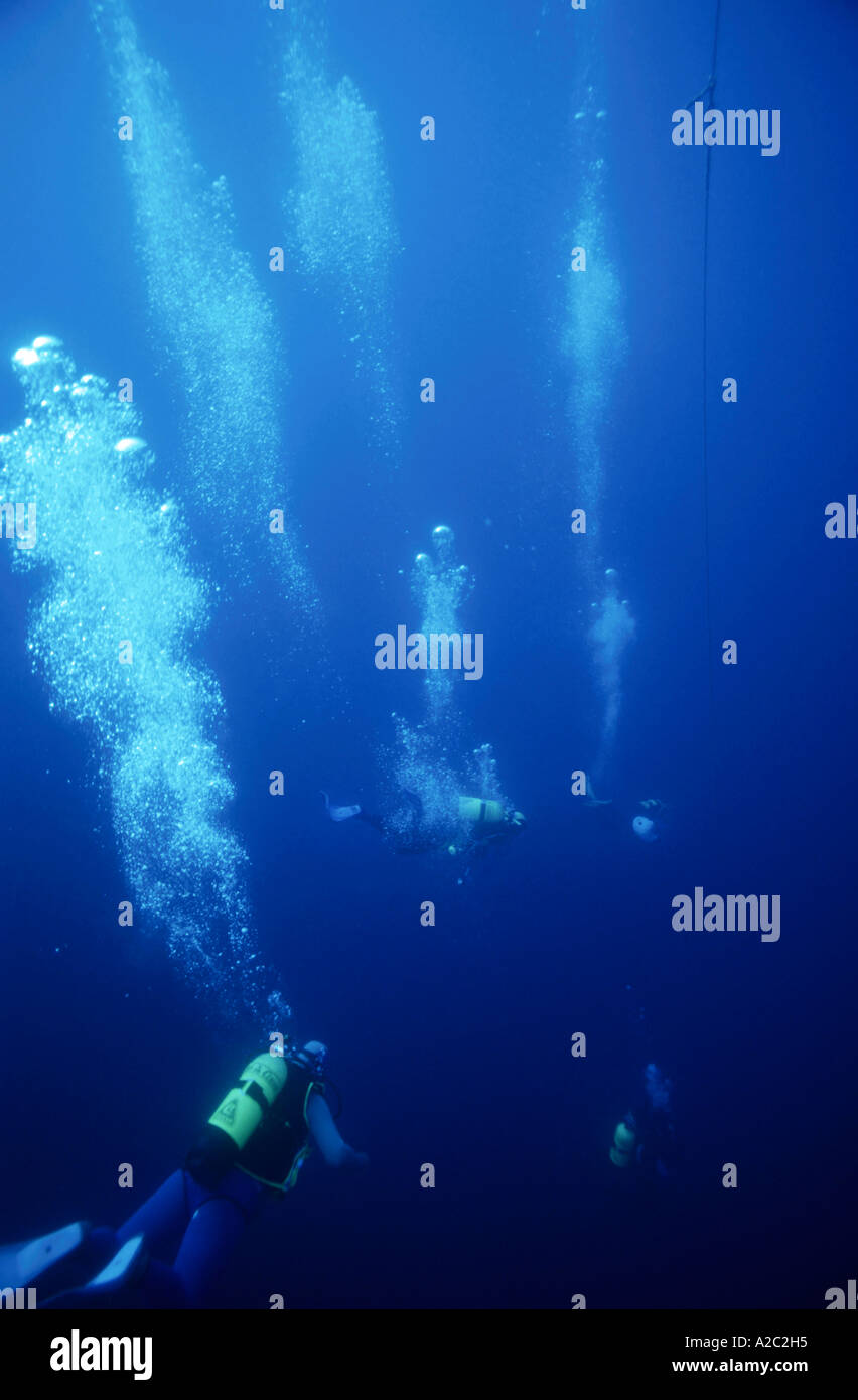 Three scuba divers in the ocean Stock Photo - Alamy