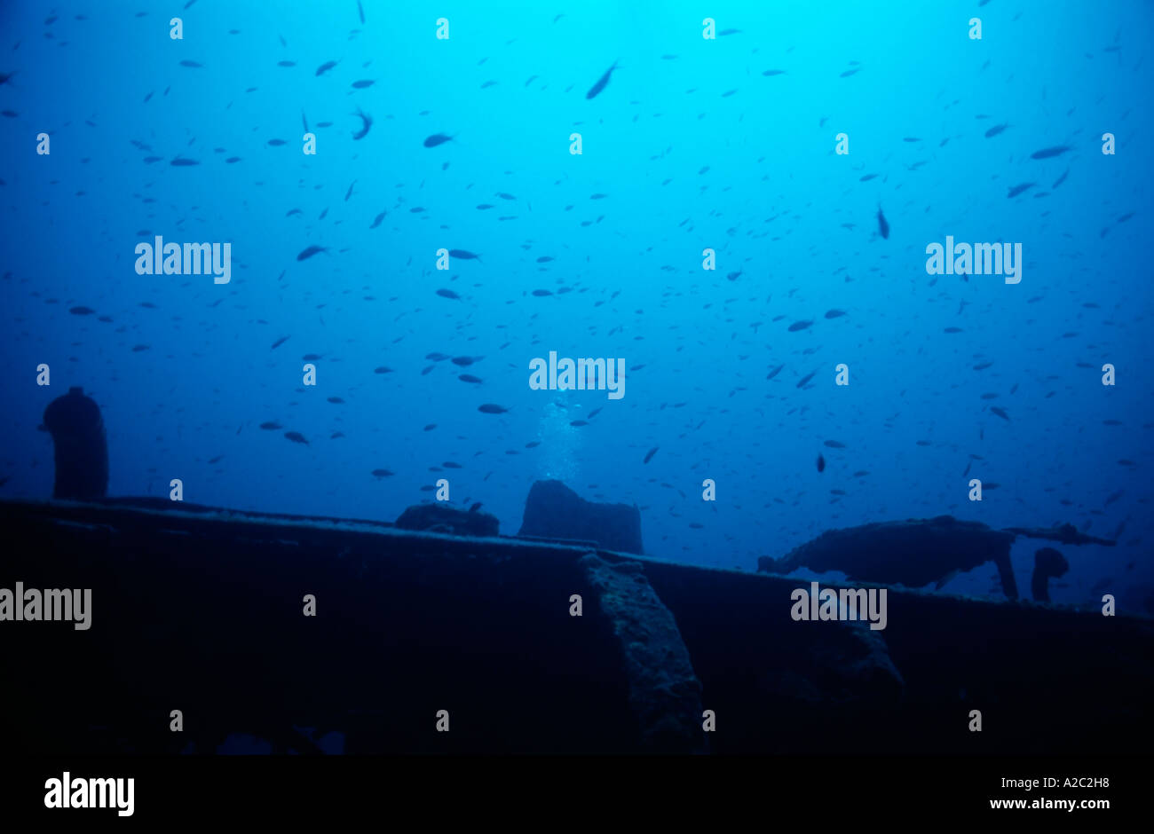 Espingole hi-res stock photography and images - Alamy