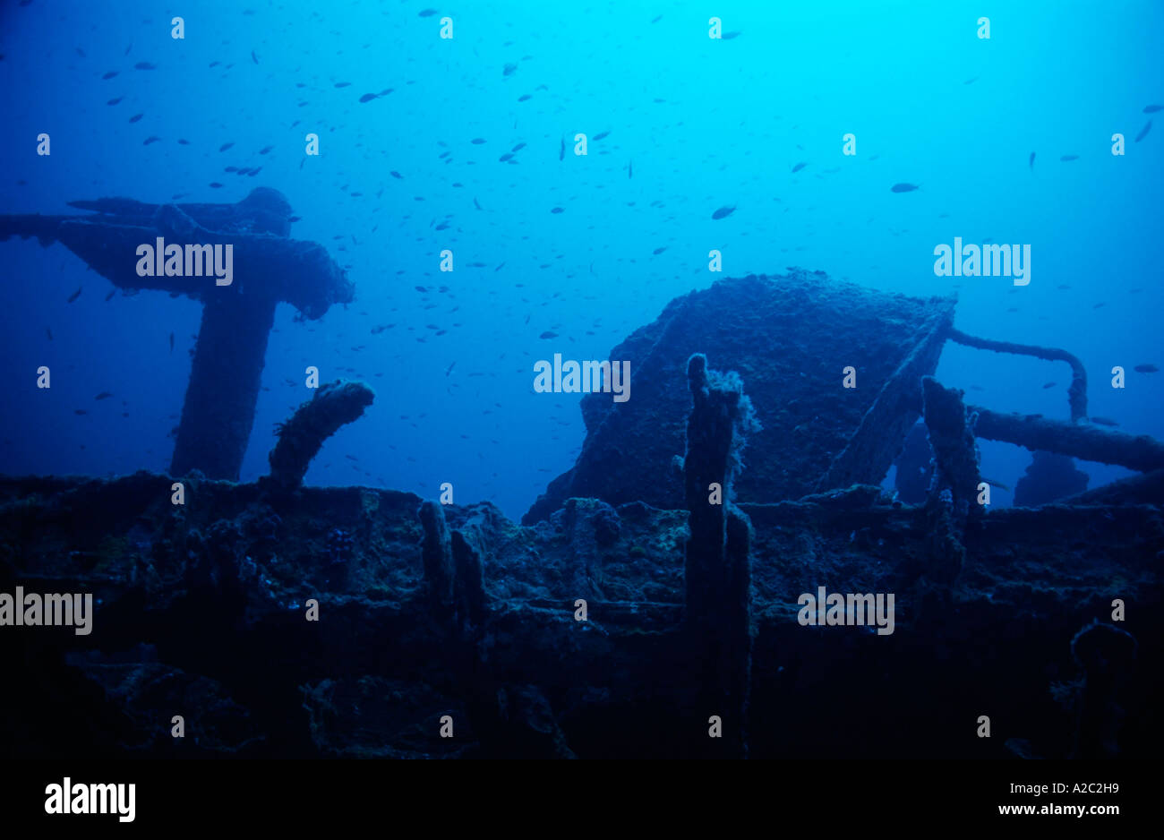 Espingole hi-res stock photography and images - Alamy