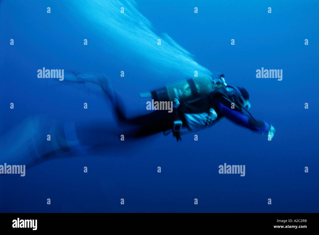 One scuba diver swimming underwater, Marseille, France Stock Photo - Alamy