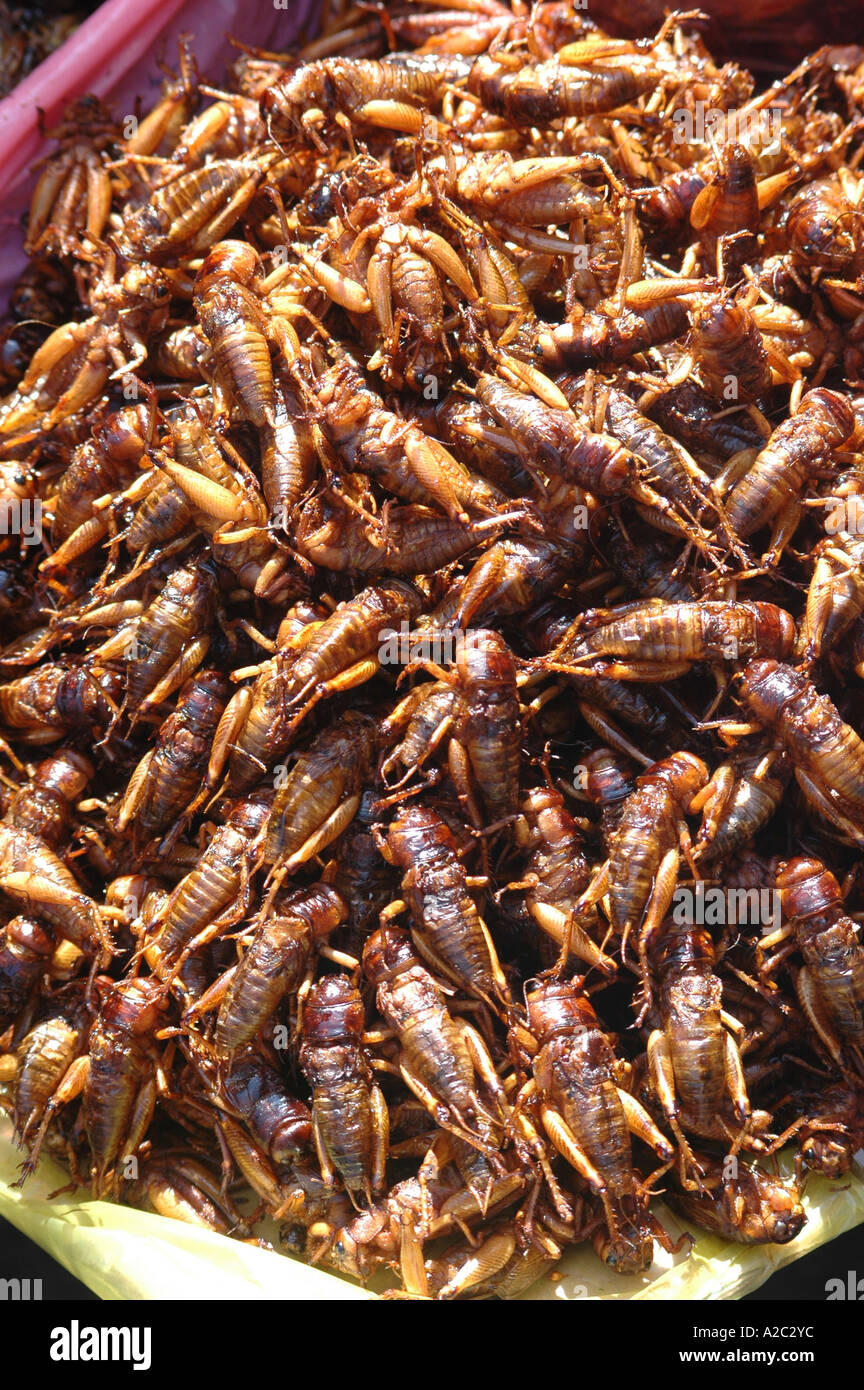 Cambodian fried insects hi-res stock photography and images - Alamy