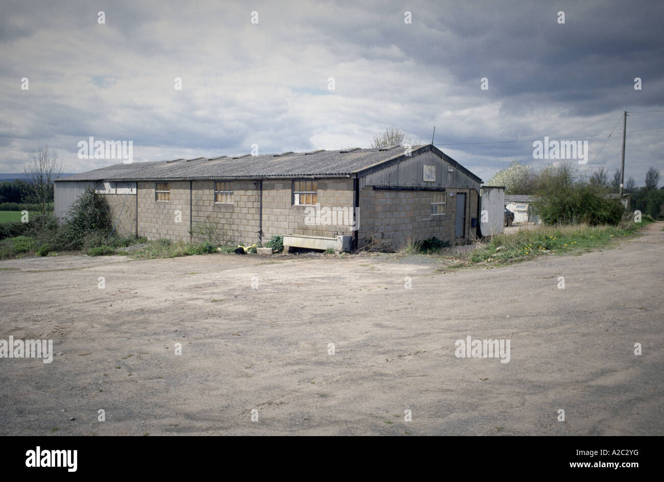 L'Escargot Anglais snail farm Credenhill Herefordshire Stock Photo - Alamy