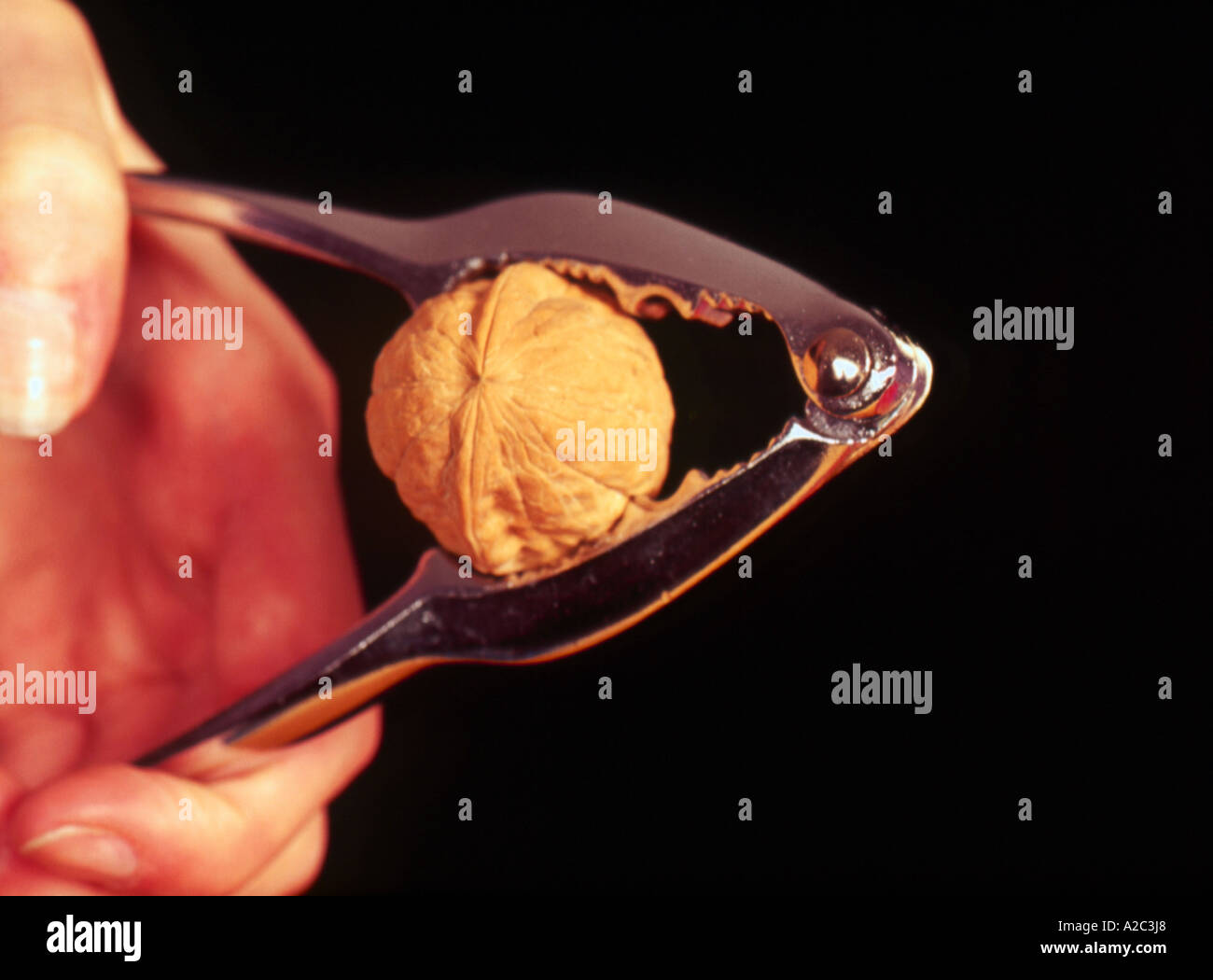Inside walnut hi-res stock photography and images - Alamy
