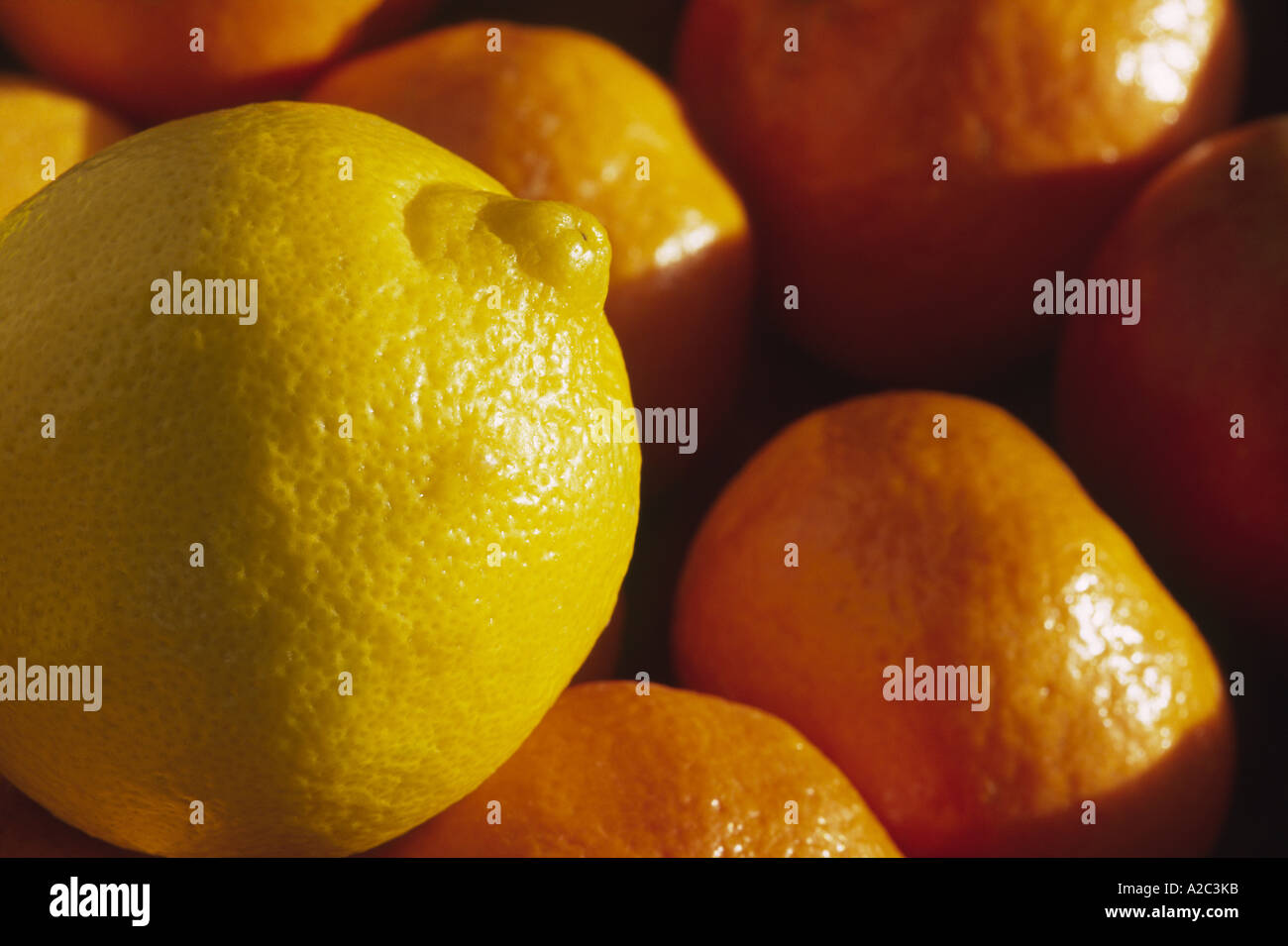 Lemon with Clementines Stock Photo - Alamy