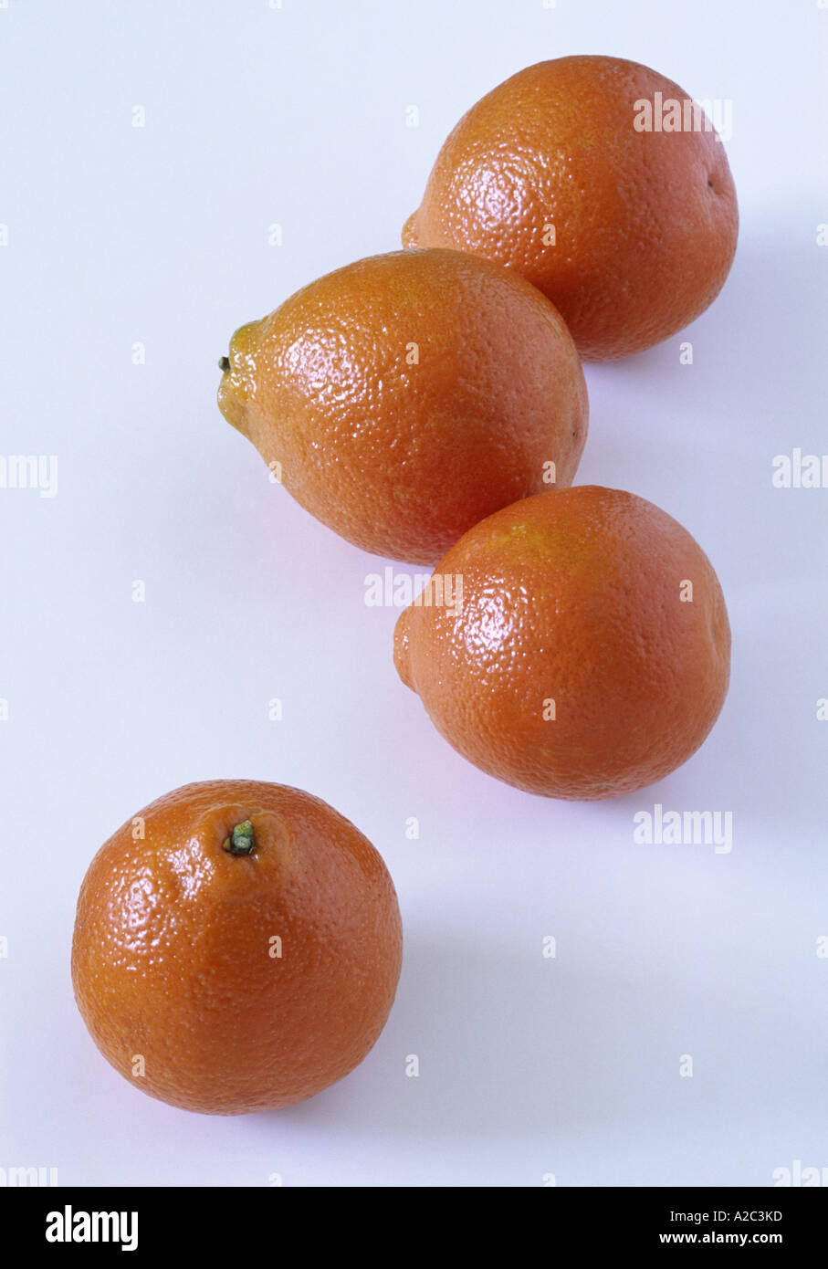 Minneolas from Peru Stock Photo - Alamy