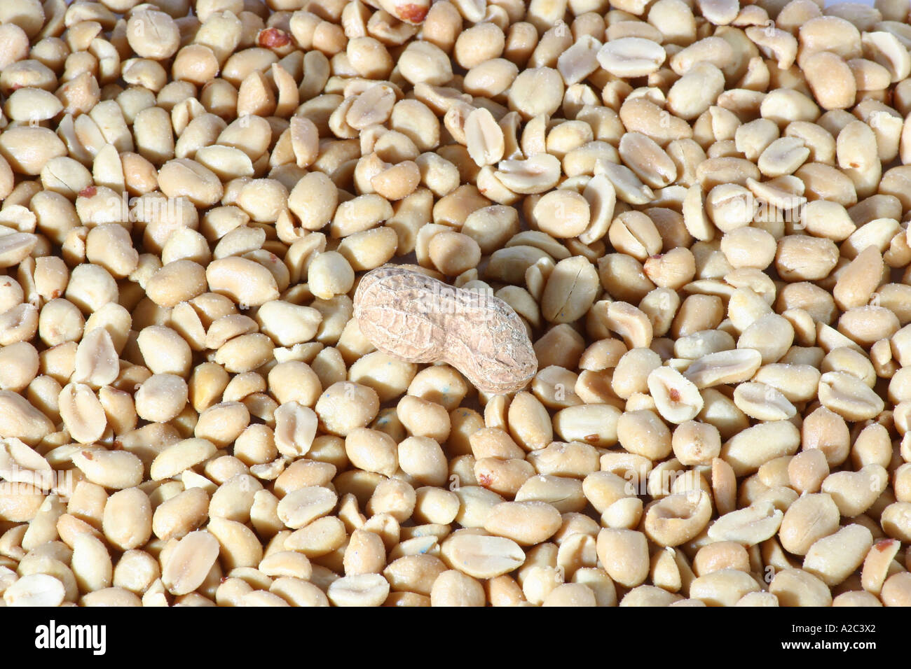 Many monkey nuts hi-res stock photography and images - Alamy
