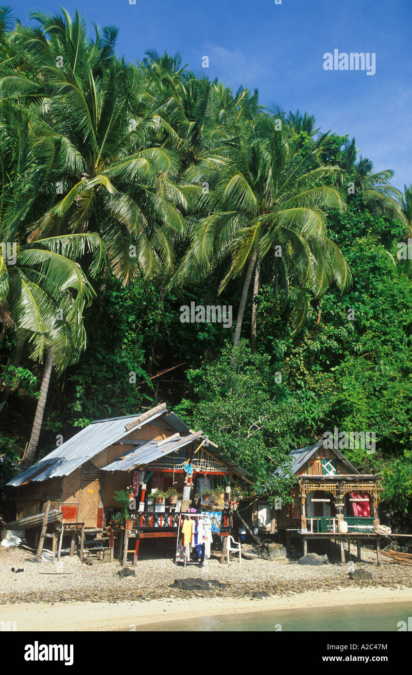 wooden cabins in the shades of palm trees at the beach of Ko Phi Phi ...