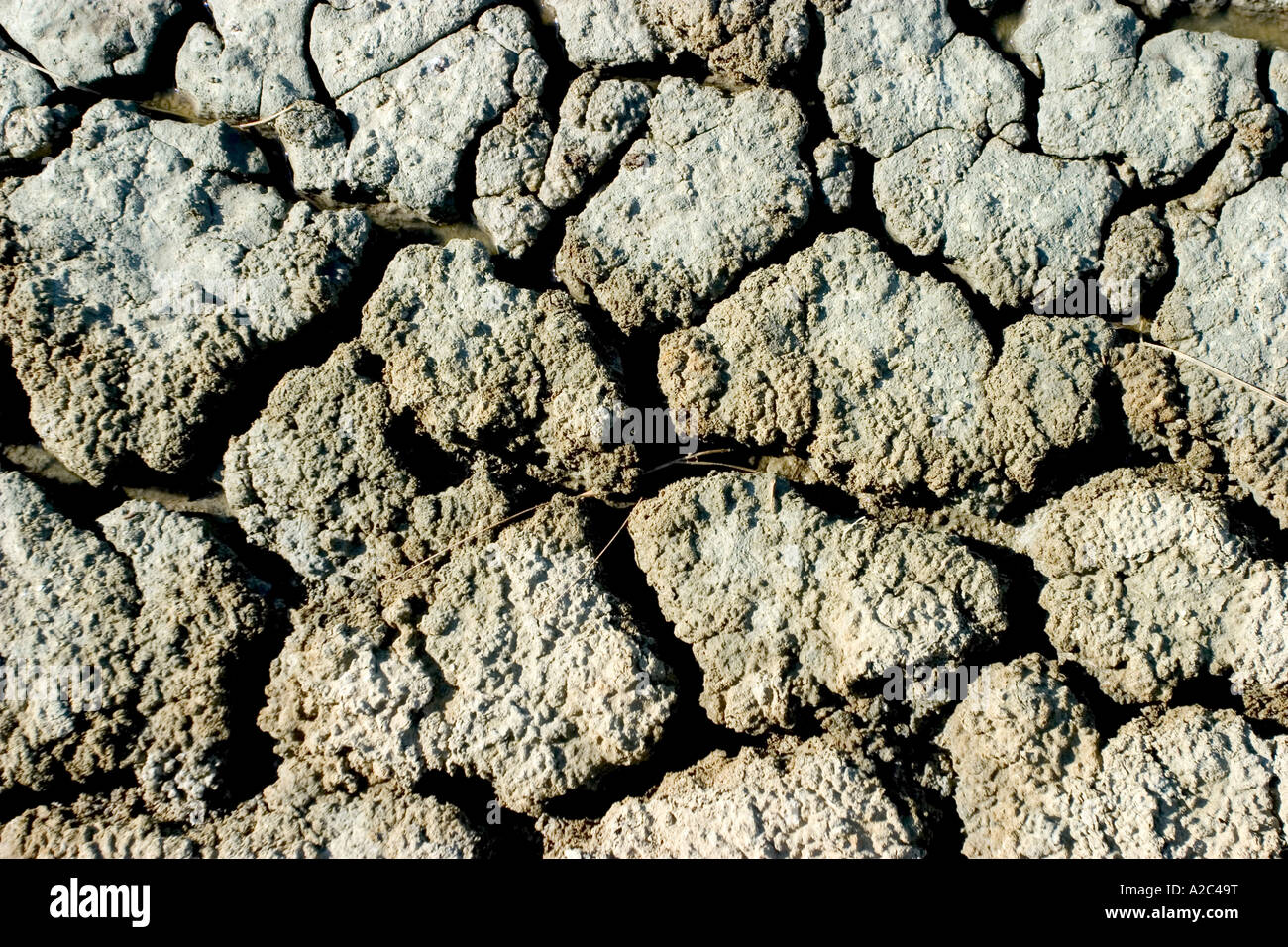 Close up of the cracked surface of parched earth Stock Photo - Alamy