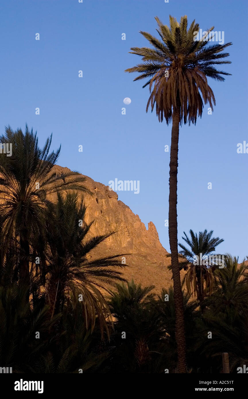 Moon sunset oasis evening sky morocco hi-res stock photography and ...