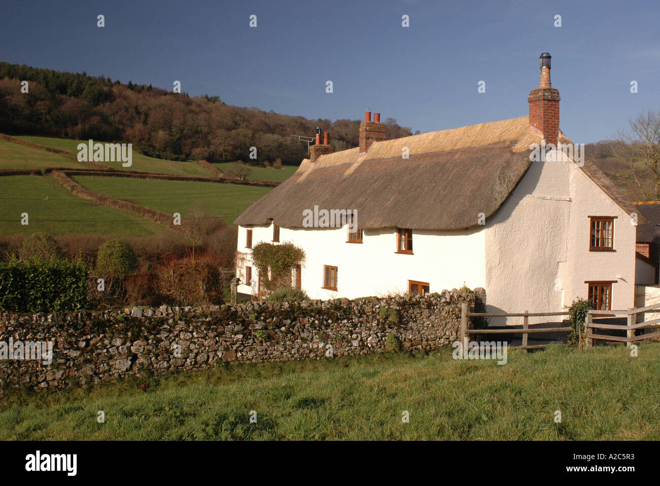 The Devon countryside near Honiton in mid-winter sunshine with a ...