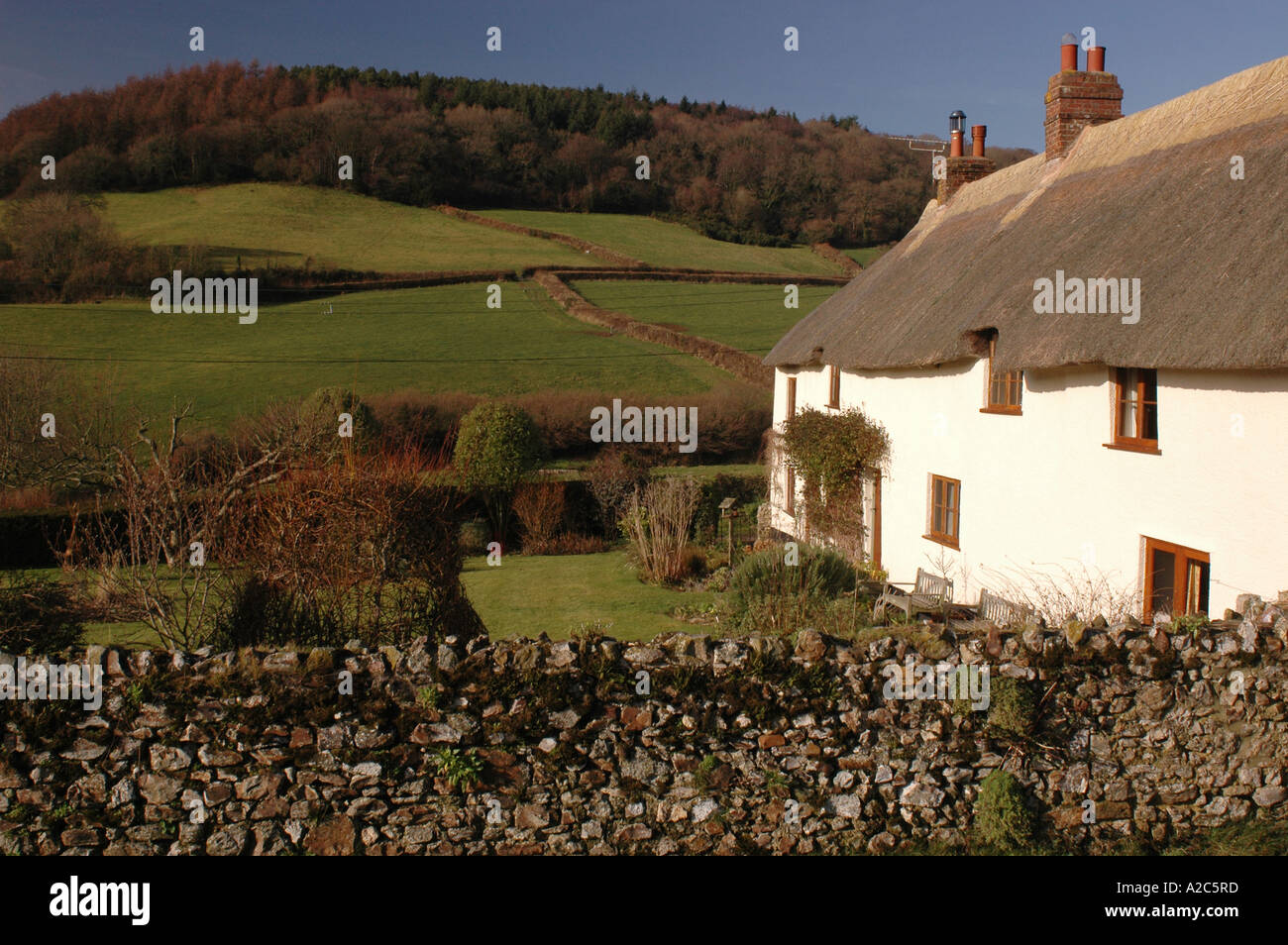 The Devon countryside near Honiton in mid-winter sunshine with a ...