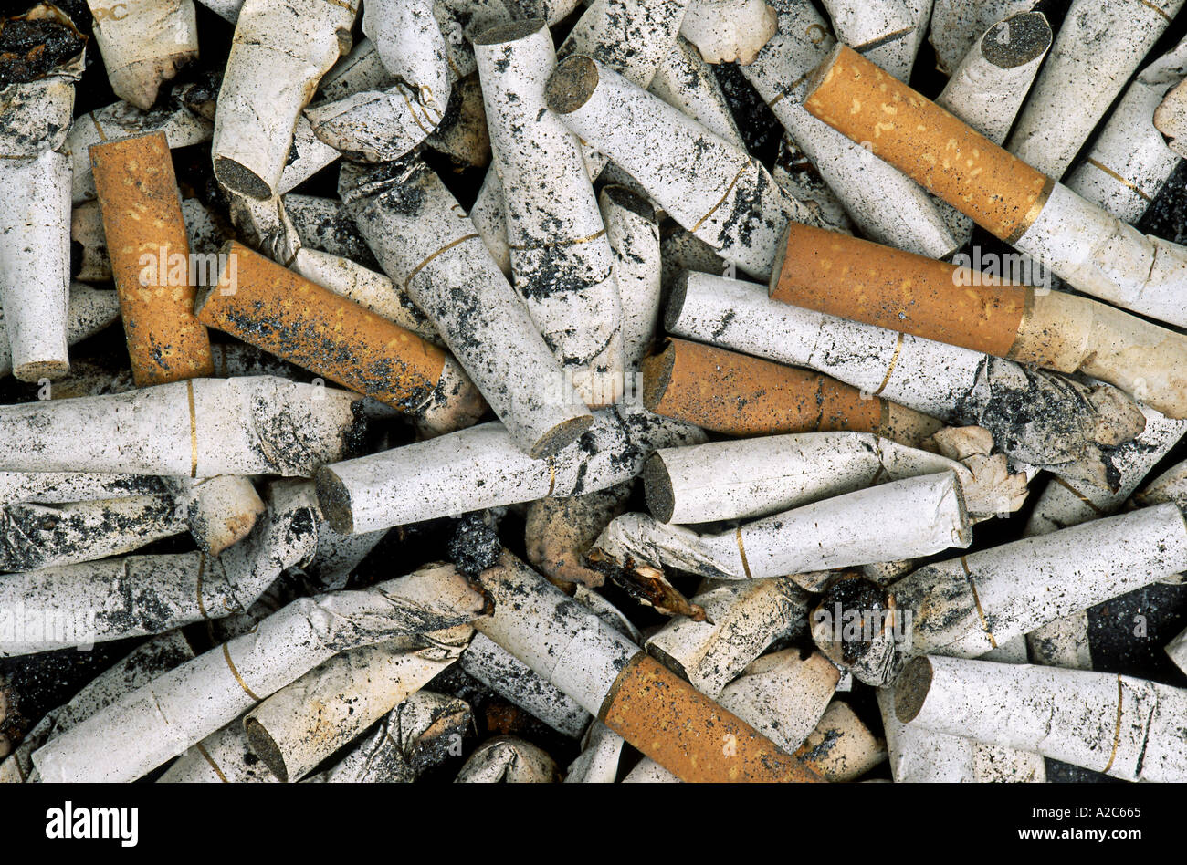 Horizontal shot close up of cigarette butts Stock Photo - Alamy