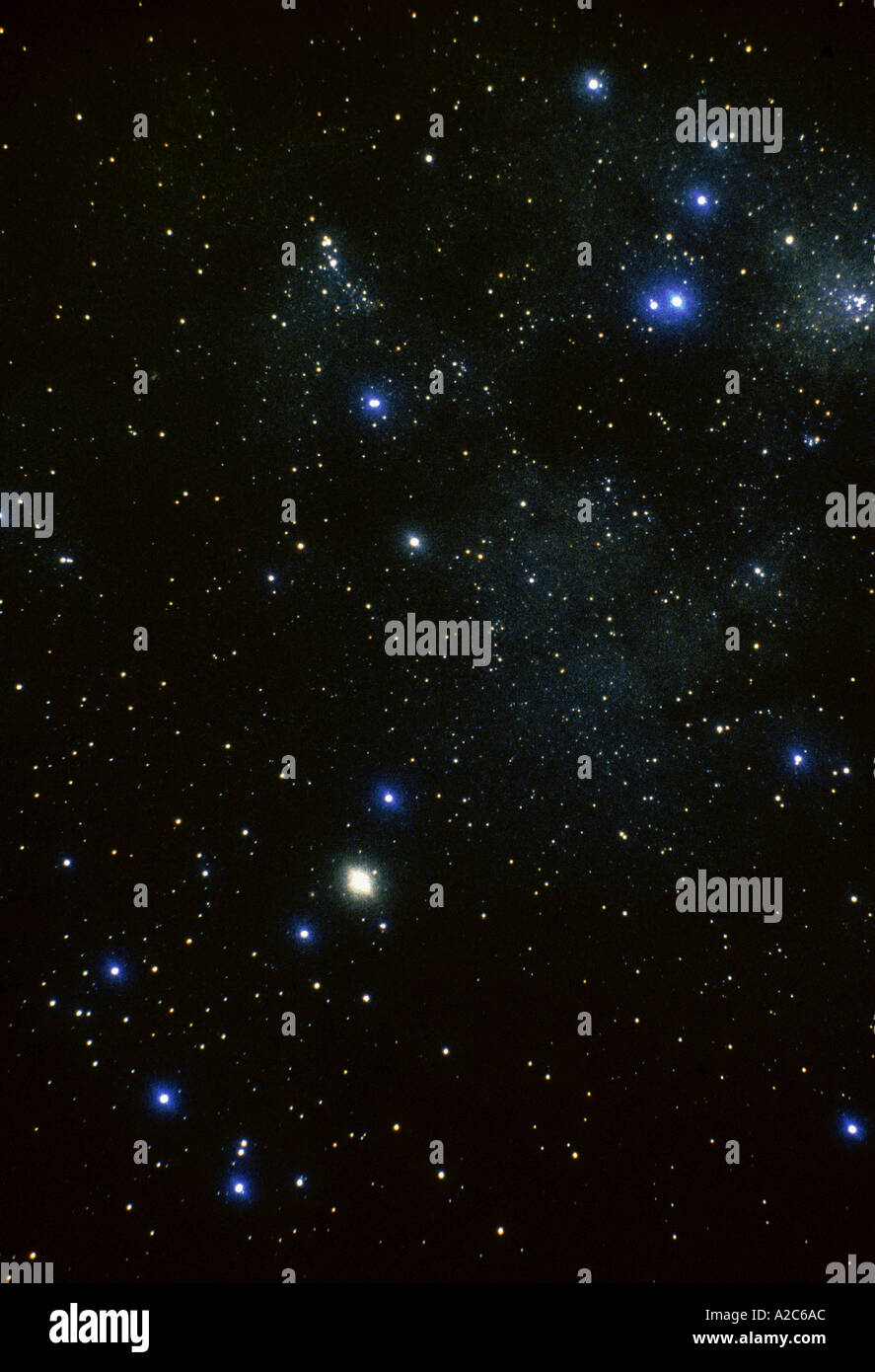 The Constellation Scorpius appears in the summer sky Stock Photo - Alamy