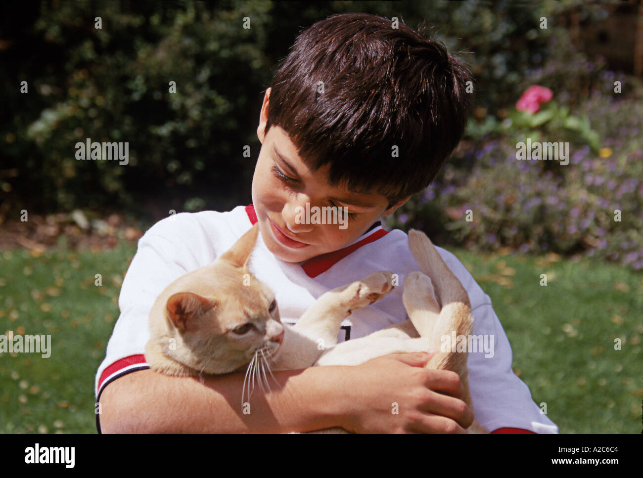 Year old boy holding cat hi-res stock photography and images - Alamy