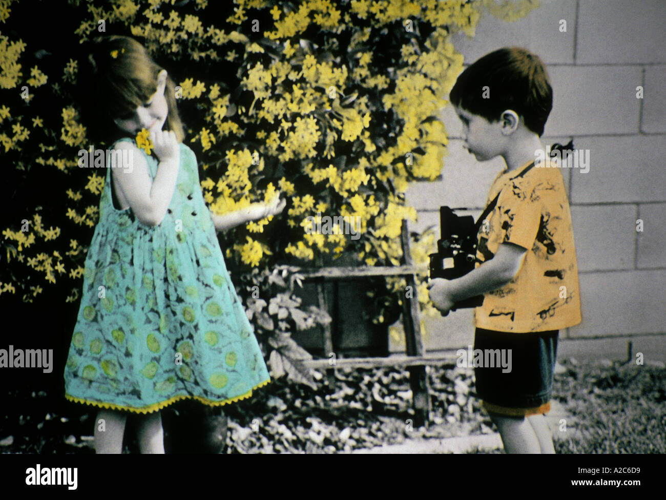 Hand tinted hi-res stock photography and images - Alamy