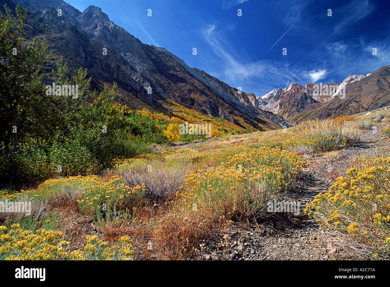 McGee Creek area of Long Valley in the Inyo National Forest California ...