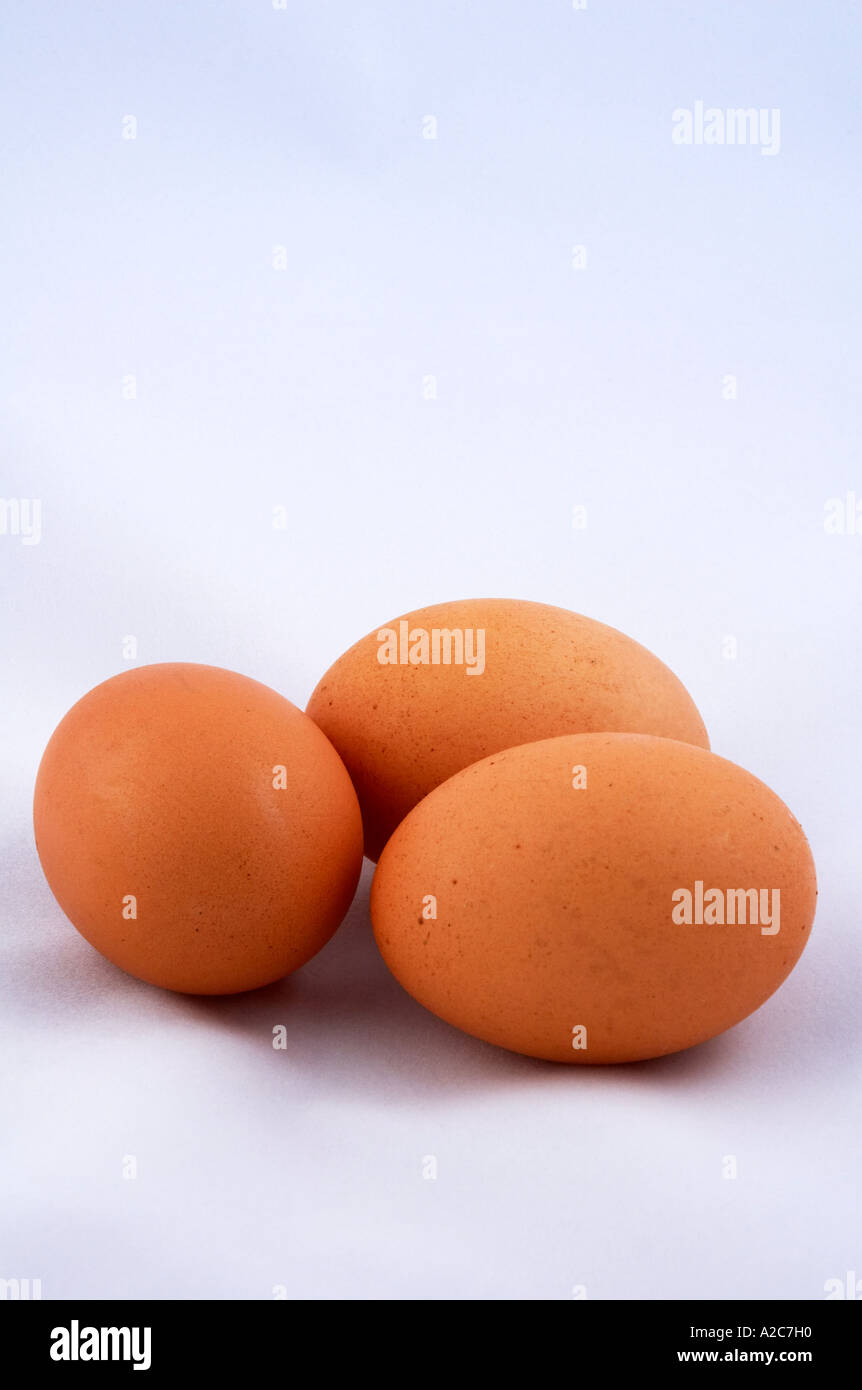 Chicken egg life cycle hi-res stock photography and images - Alamy