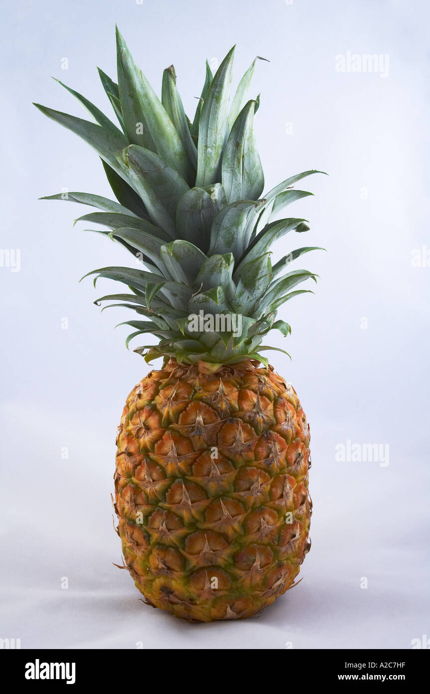 Five portions of fruit and vegetables hi-res stock photography and ...