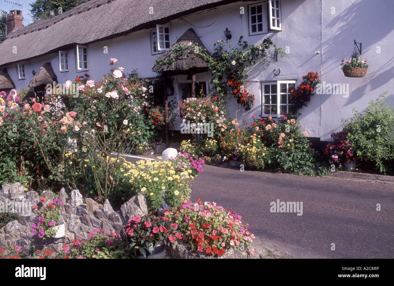 Babacombe Cottage Gardens Stock Photo - Alamy