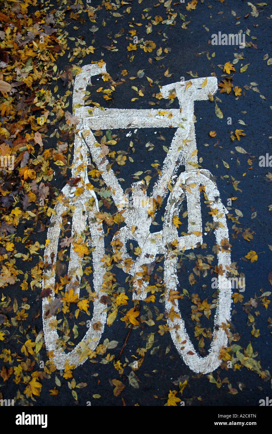 Season cycle hi-res stock photography and images - Alamy