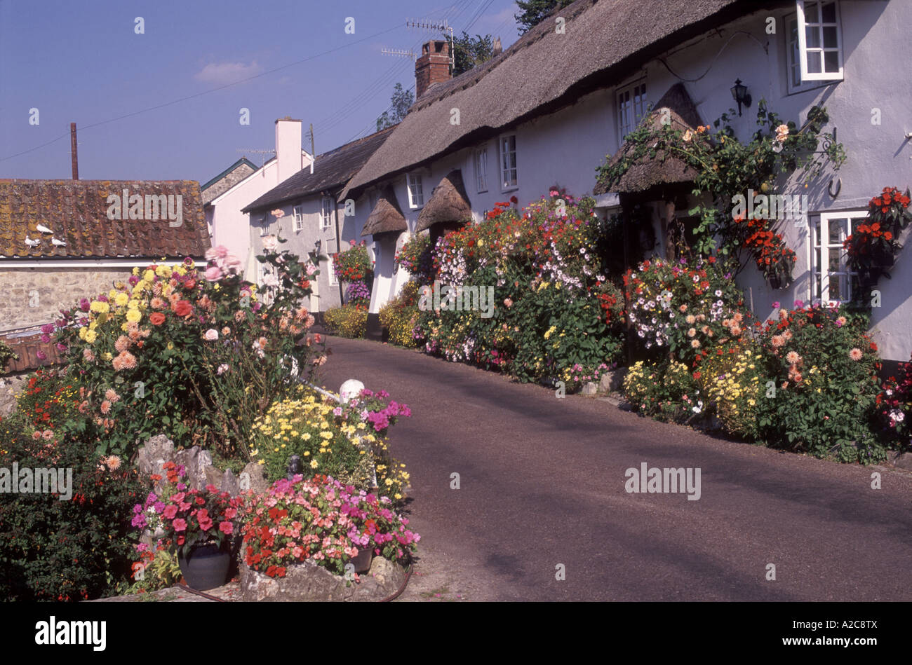 Babacombe Cottage Gardens Stock Photo - Alamy