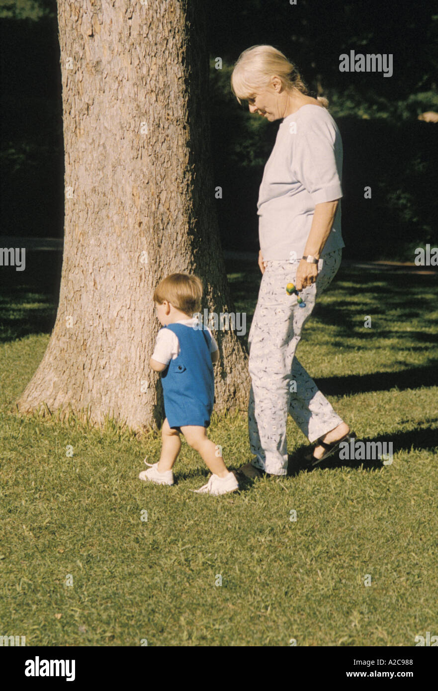 A grandmother walking past a tree with her grandchild Stock Photo - Alamy