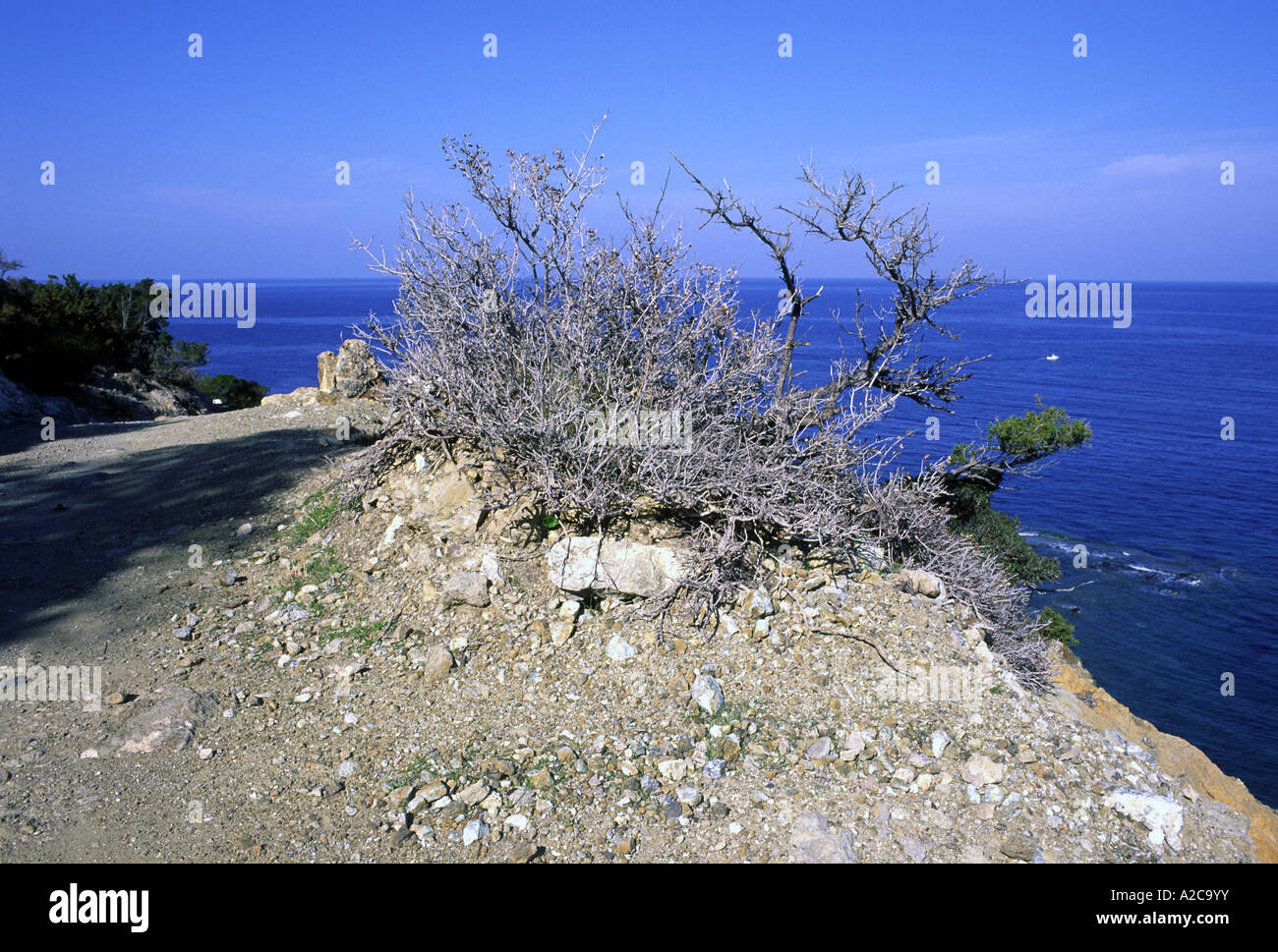 Akamas nature trail aphrodite trail hi-res stock photography and images ...