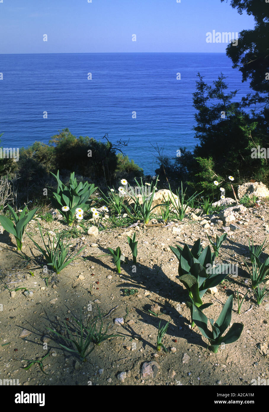 Akamas nature trail aphrodite trail hi-res stock photography and images ...