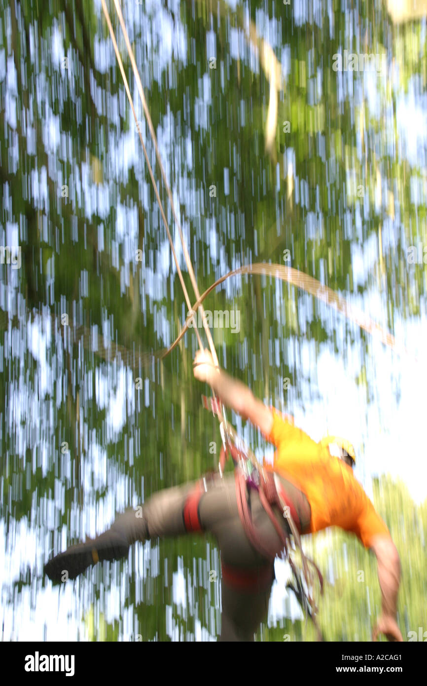 Tree surgeon climbing with ropes Stock Photo - Alamy
