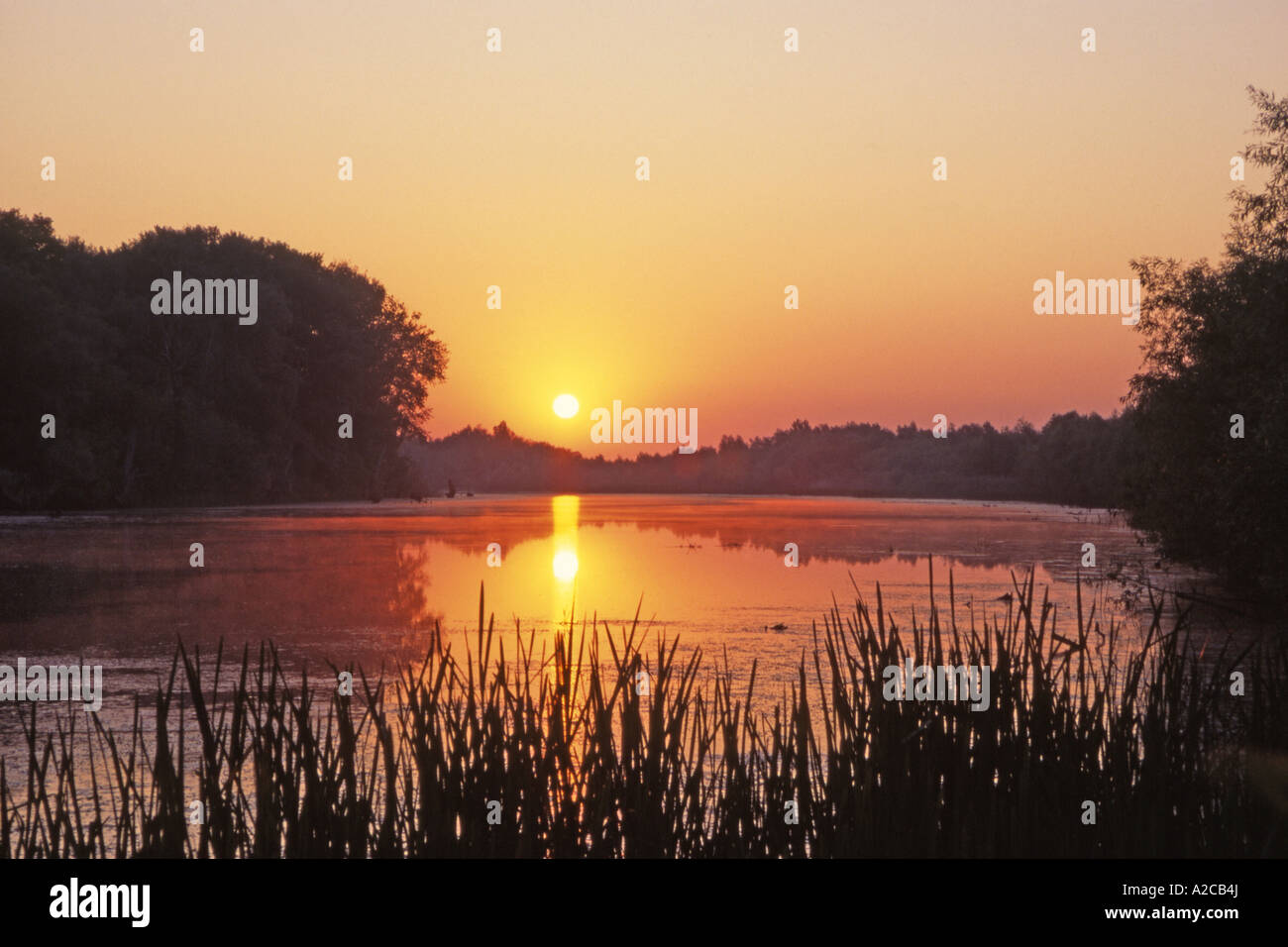 Riverine landscapes hi-res stock photography and images - Alamy
