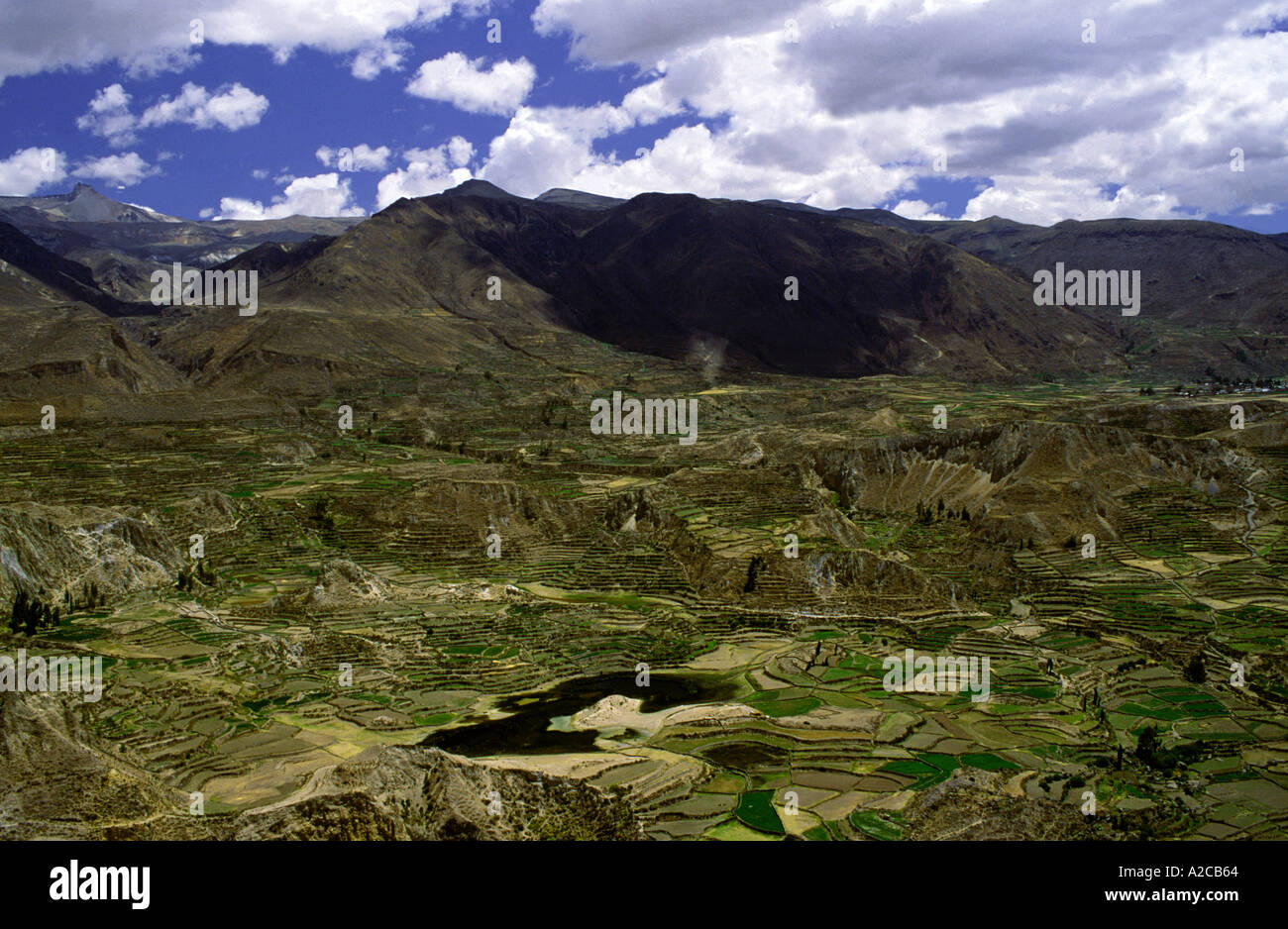 Explore colca valley hi-res stock photography and images - Alamy