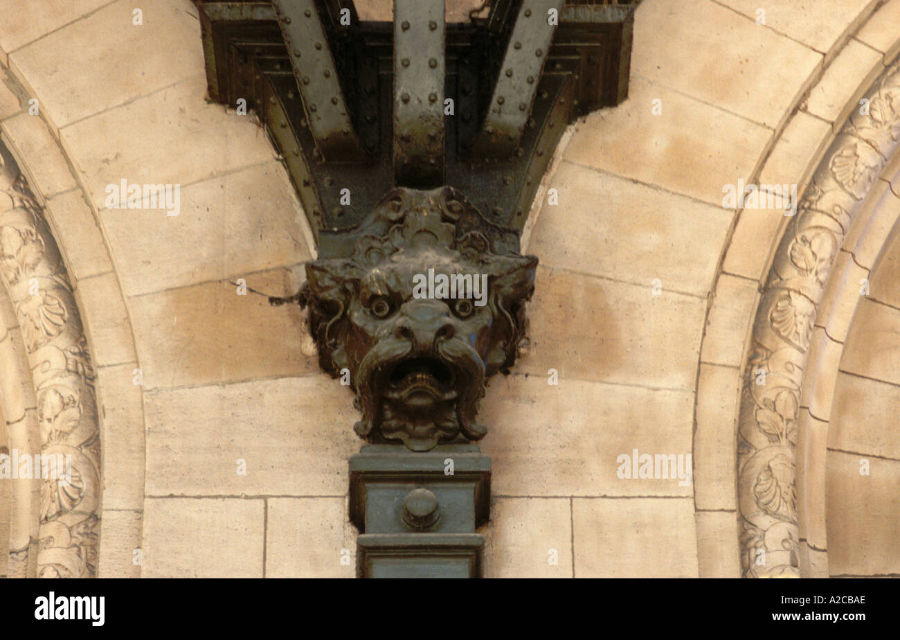 Head of griffin Stock Photo - Alamy