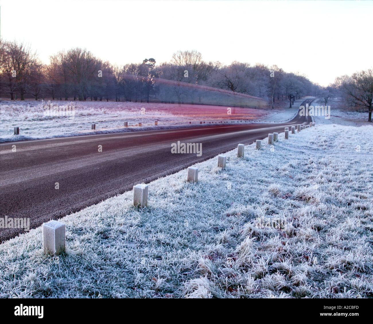 January Morning Richmond Park England Stock Photo - Alamy