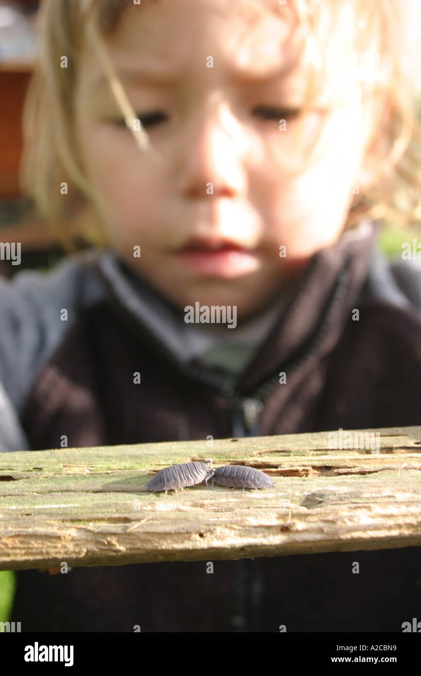 Watching for bugs hi-res stock photography and images - Alamy