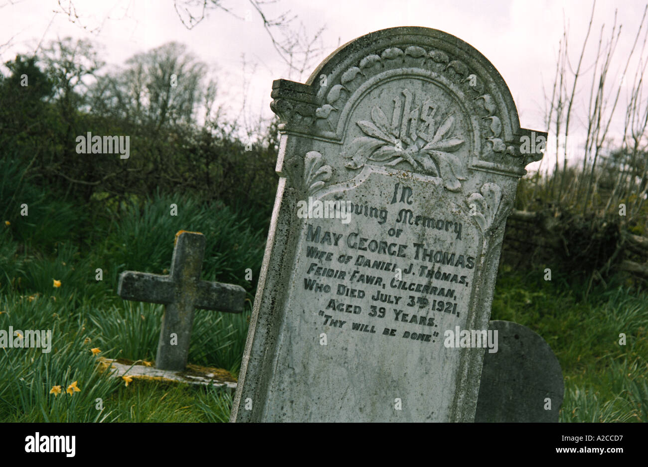 Headstone in Bridell Church yard Pembrokeshire Wales Stock Photo - Alamy