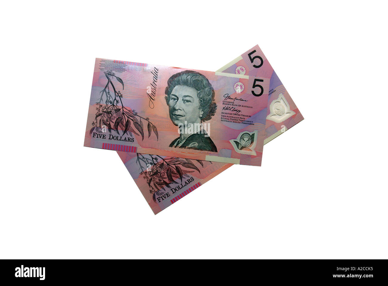 Australian 5 dollar notes against a white background Stock Photo - Alamy