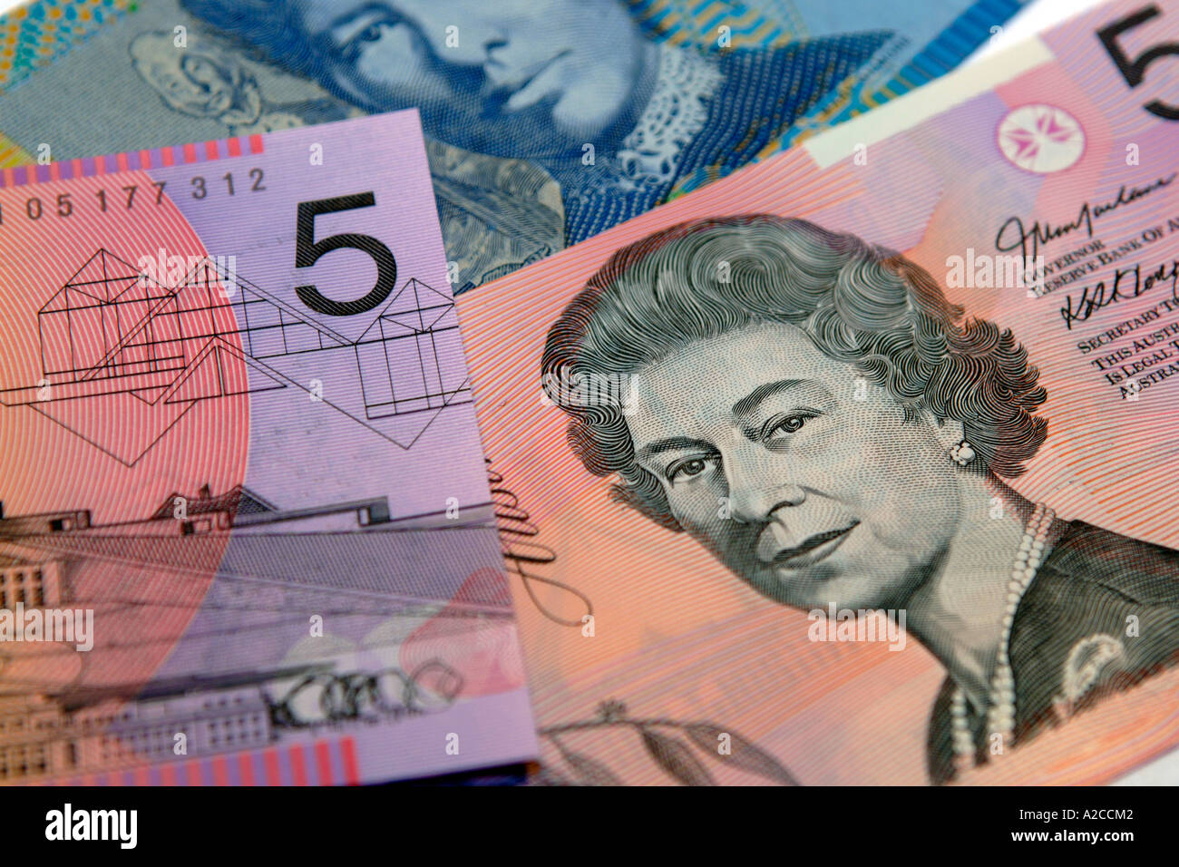 Australian 5 dollar notes against a white background Stock Photo - Alamy