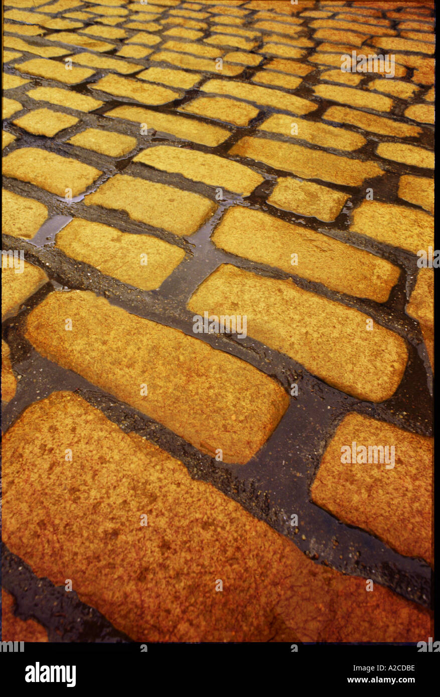 Gold paving stones Stock Photo - Alamy