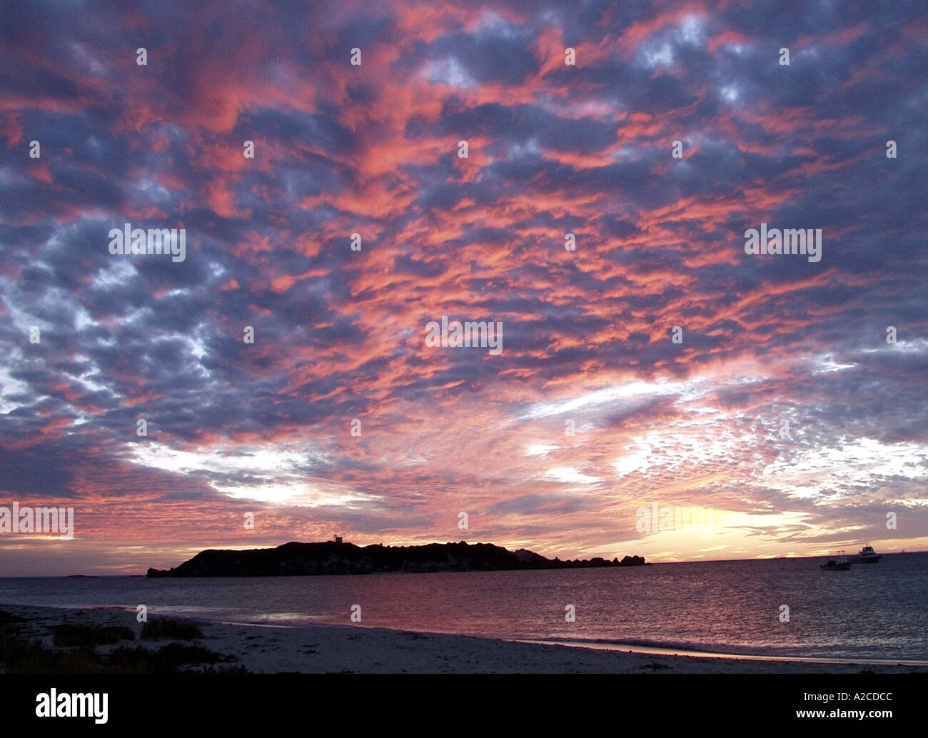 Hamlen hi-res stock photography and images - Alamy