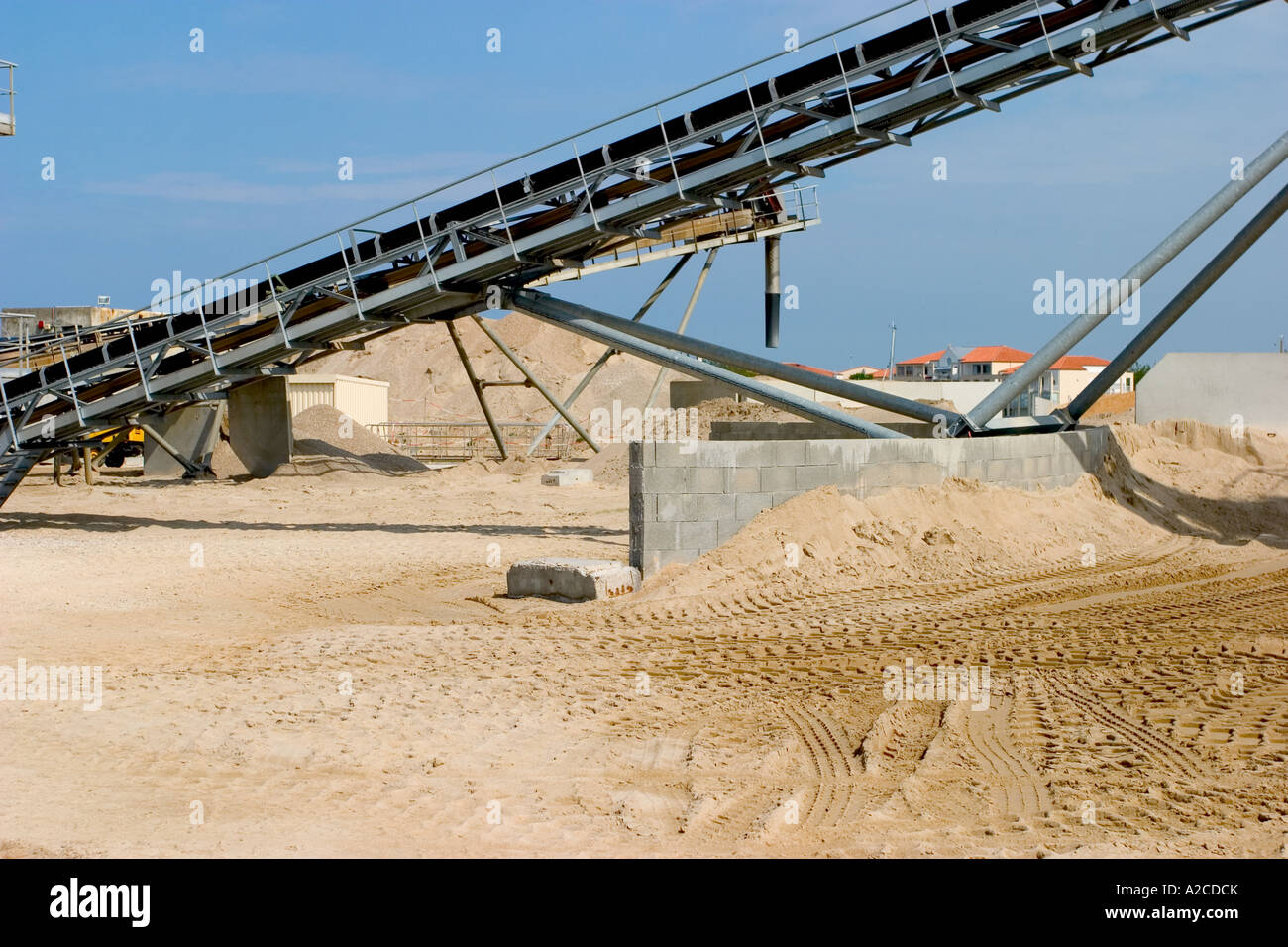 Grey plant hopper hi-res stock photography and images - Alamy