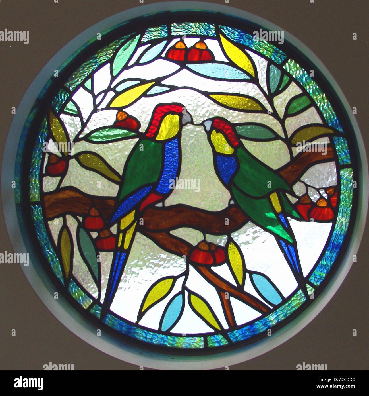Stained Glass Parrots