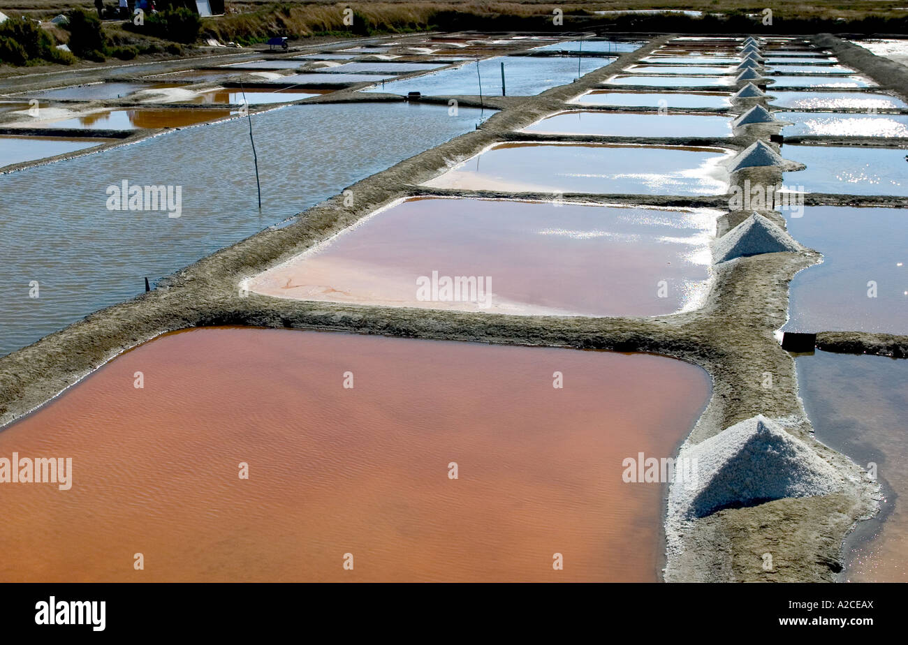 Salt Farm Guerande Brittany France Stock Photo - Alamy
