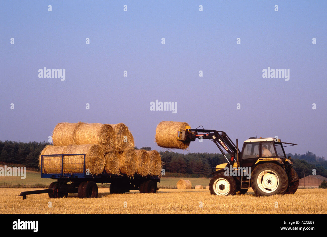 Tractor loading straw bales onto trailer Stock Photo - Alamy