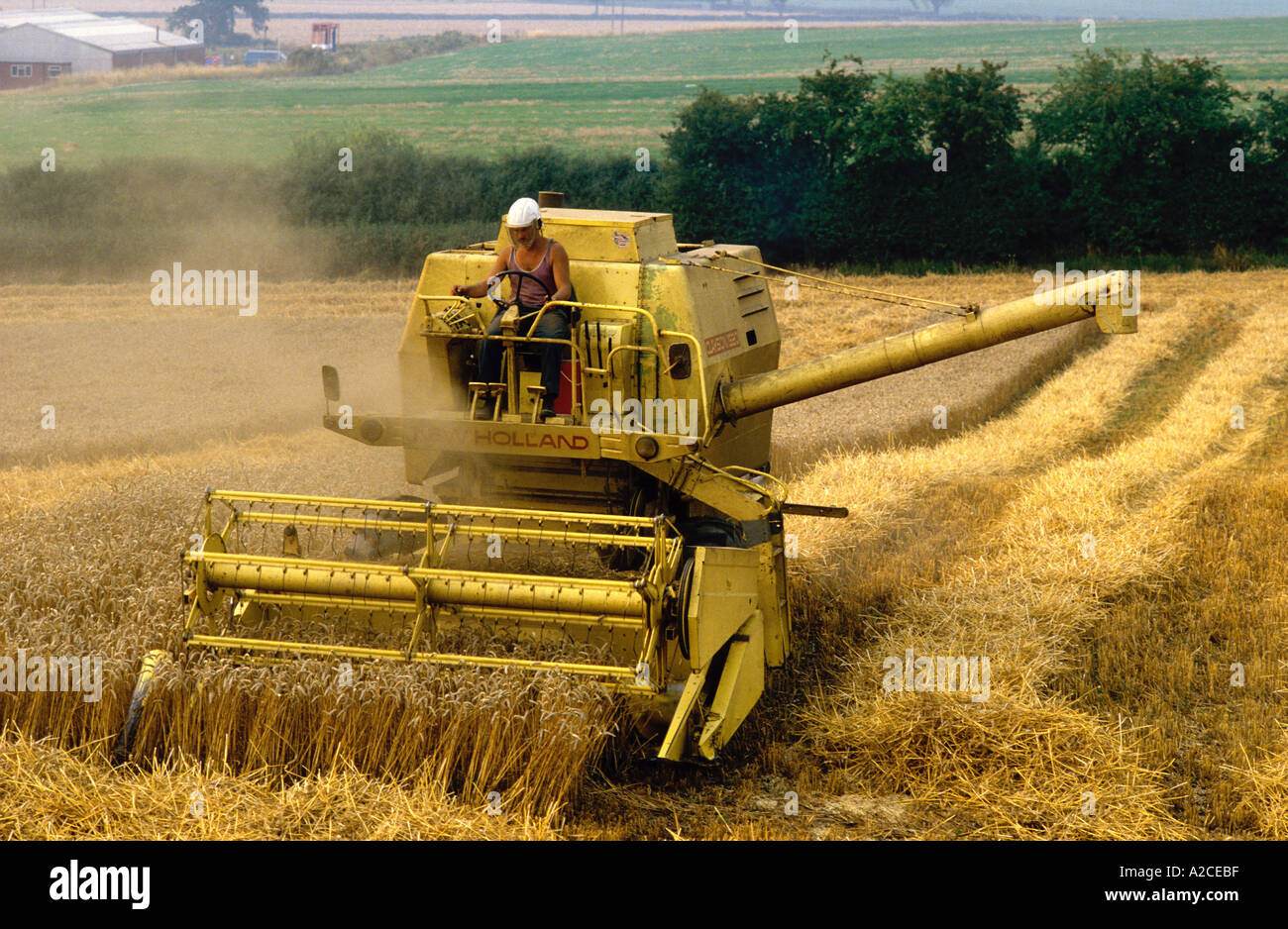 Combine harvester in wheat field in England Stock Photo - Alamy
