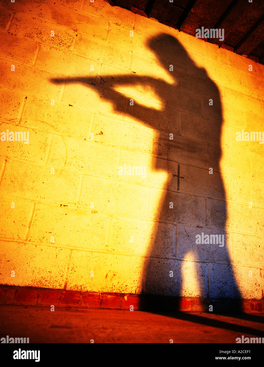 Shadow or silhouette of man pointing and aiming a shotgun Stock Photo ...